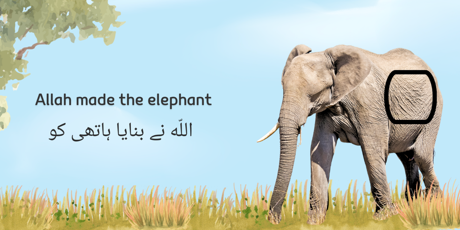 Allah Made the Animals – TOUCH AND FEEL – Flowers of Jannah